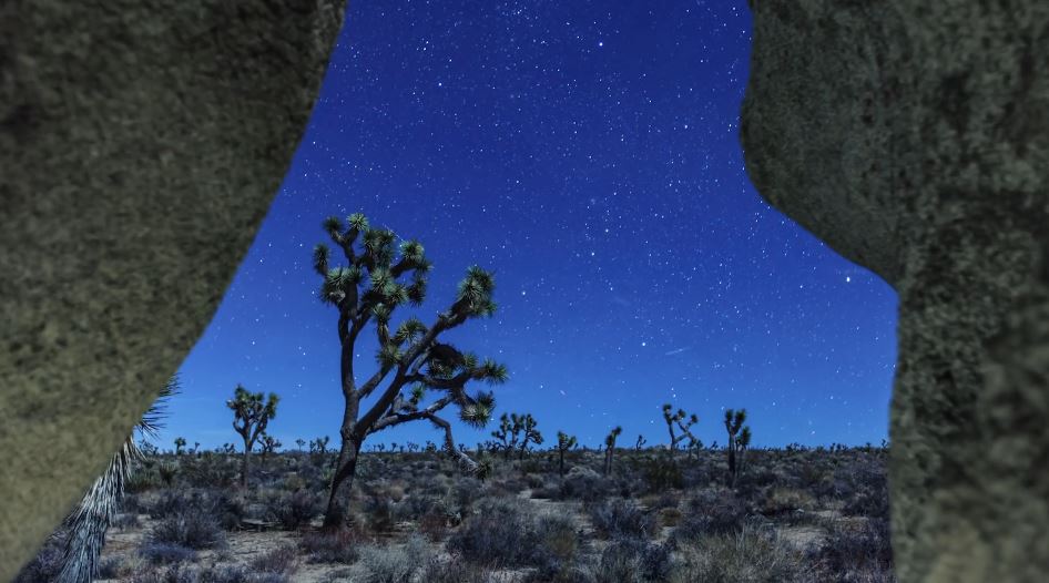 Beauté de notre nature en time lapse 4K